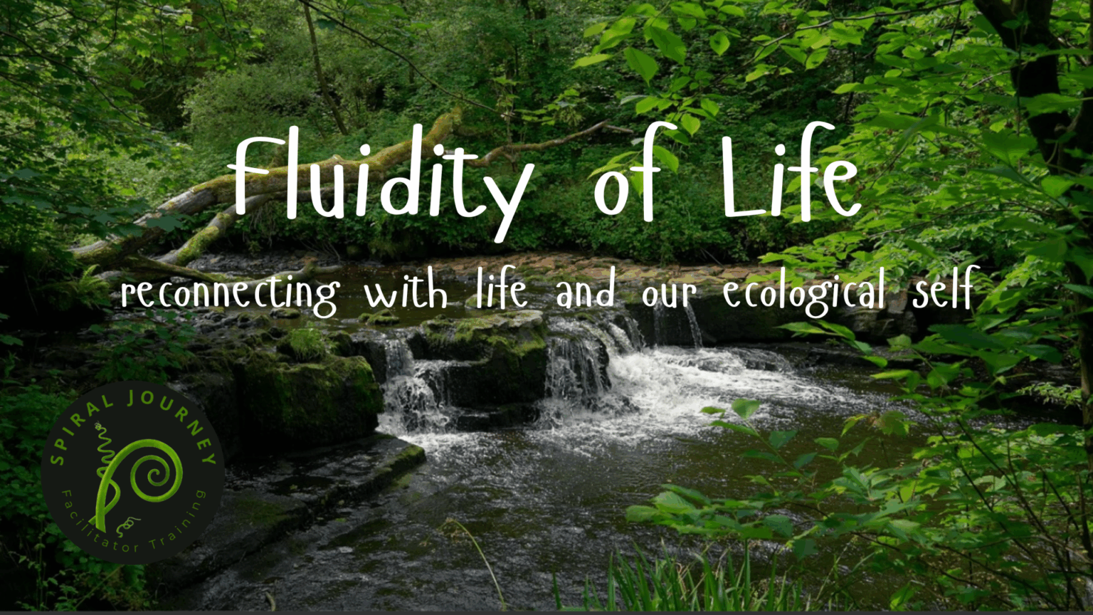 Fluidity of Life - Spiral Journey